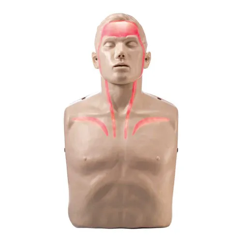 Brayden LED CPR Mannequin - Realistic Blood Flow