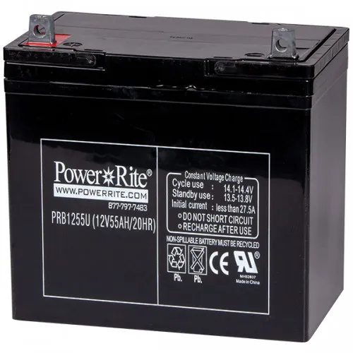 Buy Power Rite® 12V 55 Ah Battery - Nut & Bolt Connection